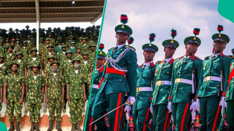 Nigerian Army Opens Portal for 91st Regular Recruits Intake - Newstrends